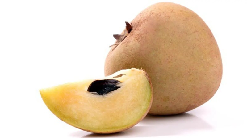 Manfaat Buah Sawo Bagi Kesehatan - MBAKNAFISAH.COM